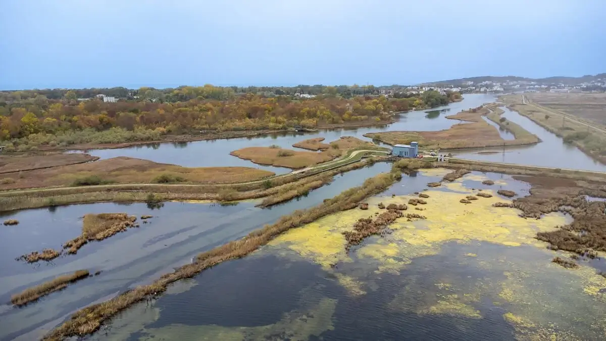 A Flooded Future - Wetland-Based Solutions
