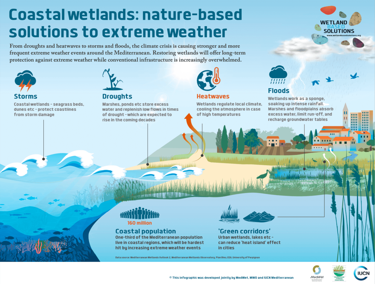 Infographics on the role of wetlands to fight climate change and biodiversity crises