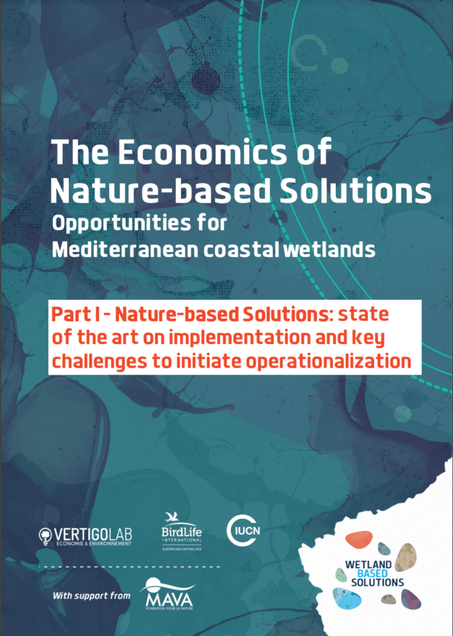 Integrated management for the conservation of Mediterranean wetlands ...
